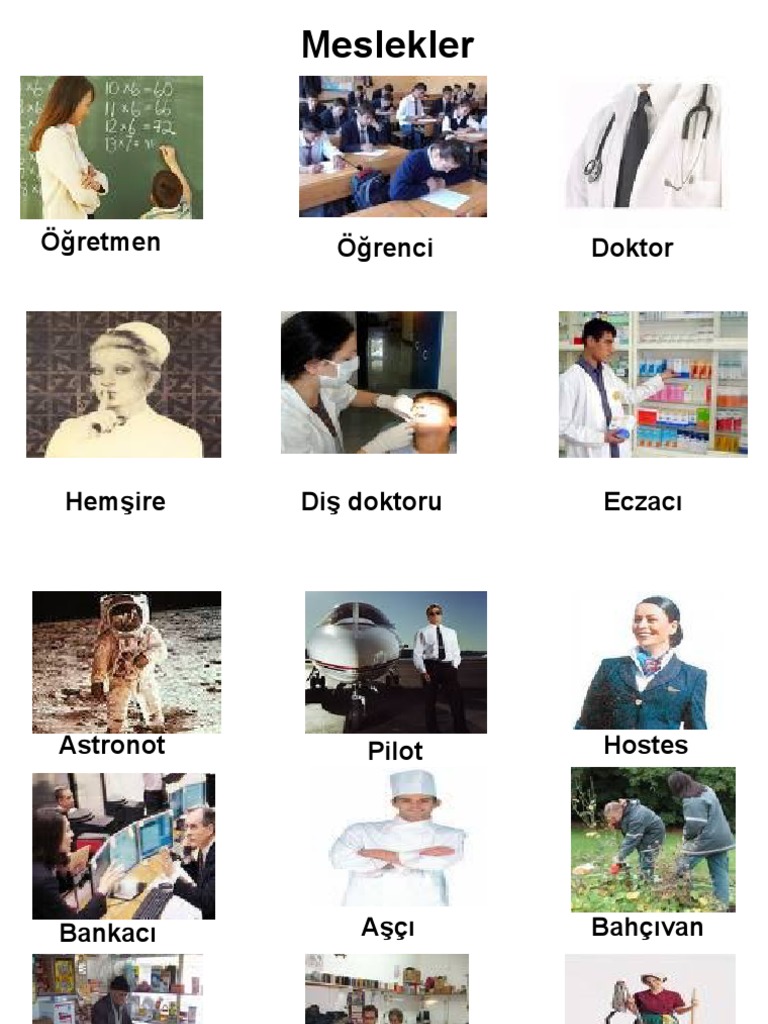 Meslekler | PDF