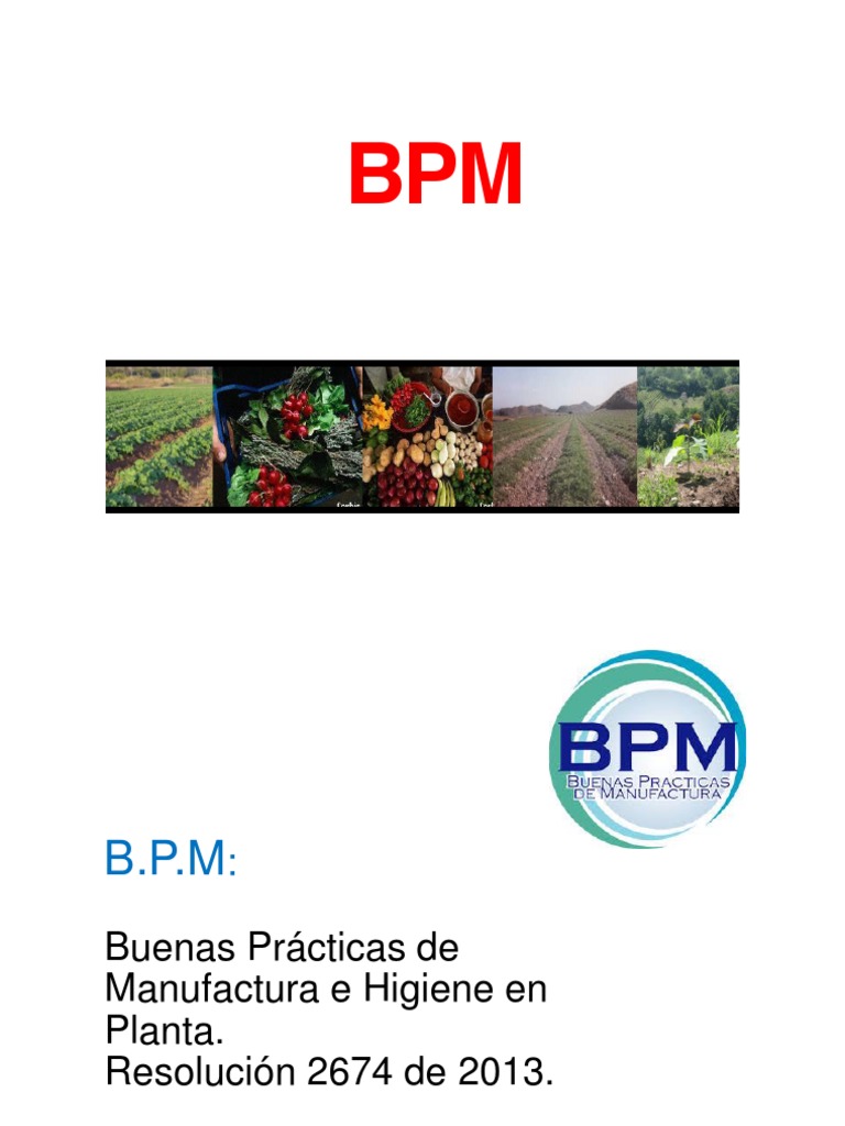 BPM Completo | Descargar gratis PDF | Alimentos | Nutrientes