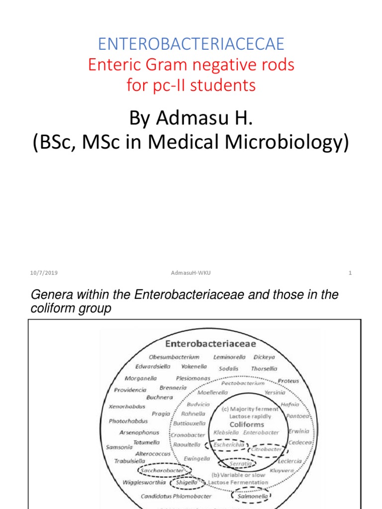 7 Enter o Bacteria Ce Cae | PDF | Salmonella | Pseudomonas Aeruginosa