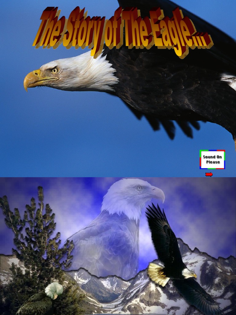 Eagle's 150-Day Rebirth Process | PDF