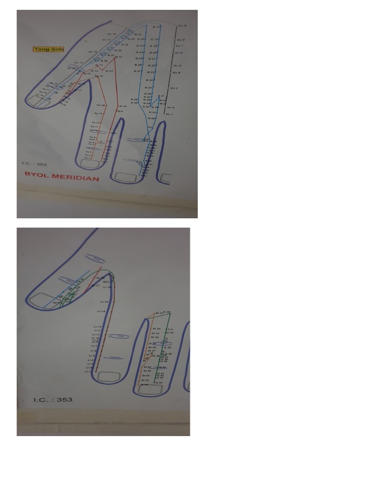 Sujok Seed Therapy Protocols | PDF