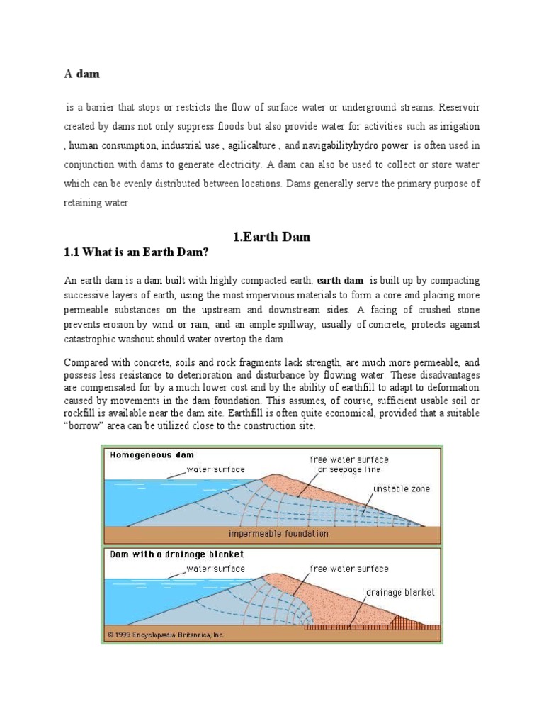 Hydropower Assignment | PDF | Dam | Environment