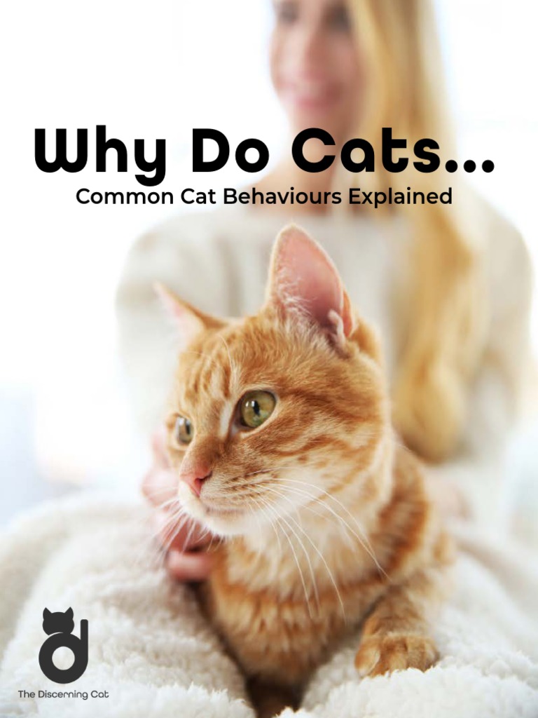 Why Do Cats Single Page | PDF | Cats
