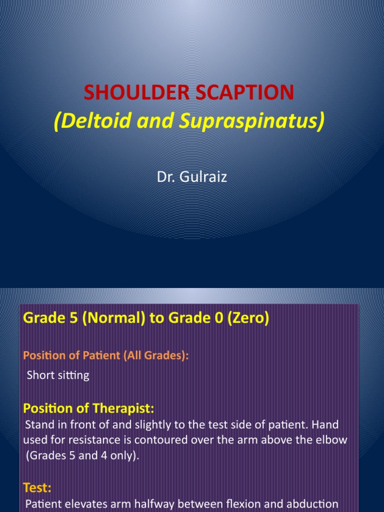 Shoulder Scaption MMT Protocol | PDF