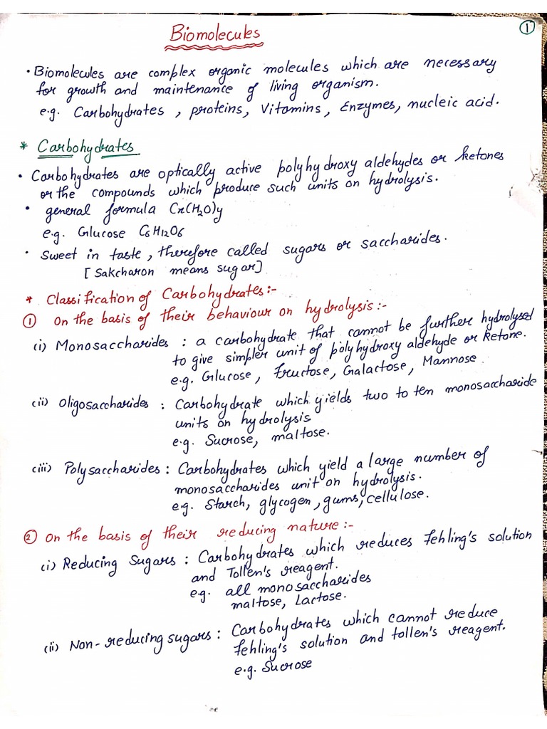 Biomolecules Notes | PDF