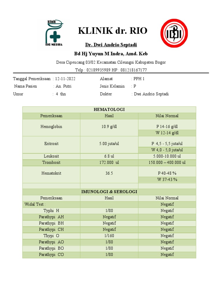 Hasil Lab An - Putri | PDF
