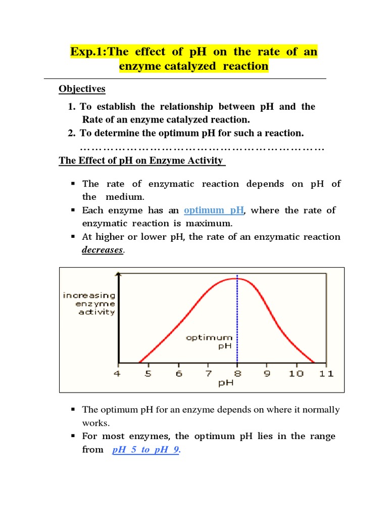 Effect of PH On Enzyme Activity | Download Free PDF | Enzyme | Active Site