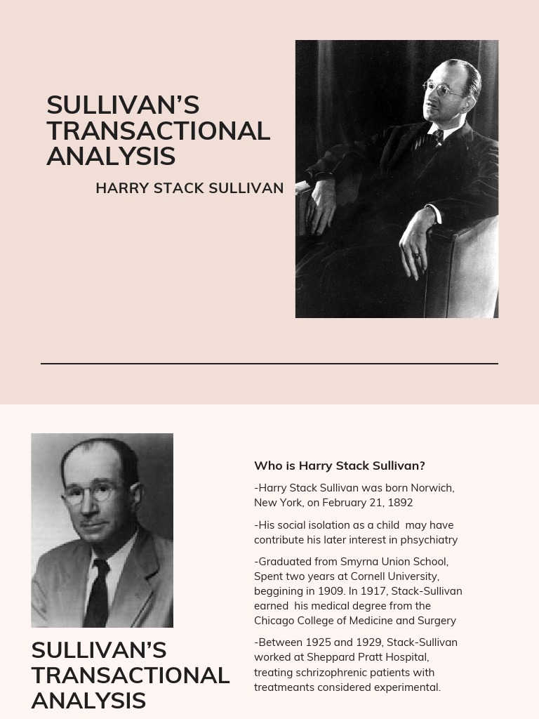 Sullivans Transactional Analysis | PDF | Adolescence | Friendship