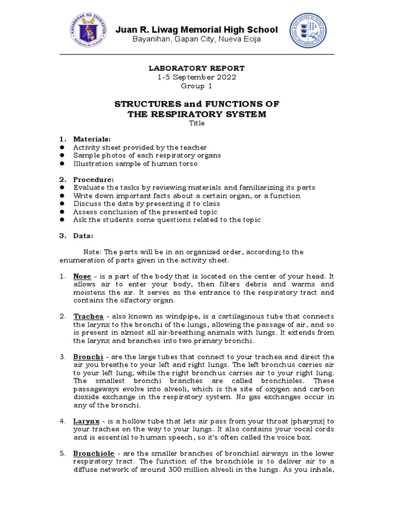 Respiratory System (Grade 9) | PDF | Respiratory Tract | Lung