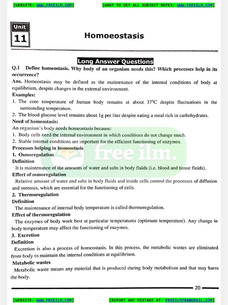 10th Bio CH 11 Long Q | PDF