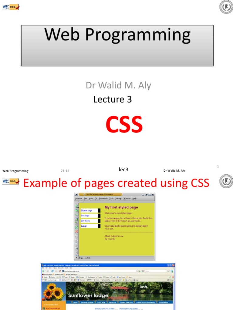 Lec3 Web Programming Download Free Pdf Html Html Element