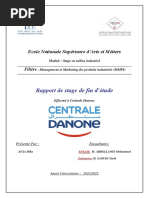 Rapport de Stage Centrale DANONE - LOUTFI Chaimae | PDF | Laitages | Transport