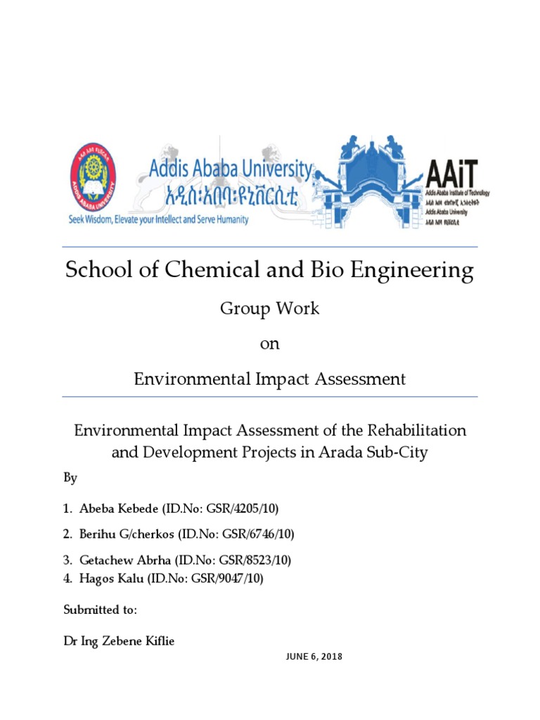 EIA Final | PDF | Environmental Impact Assessment | Environmental Protection