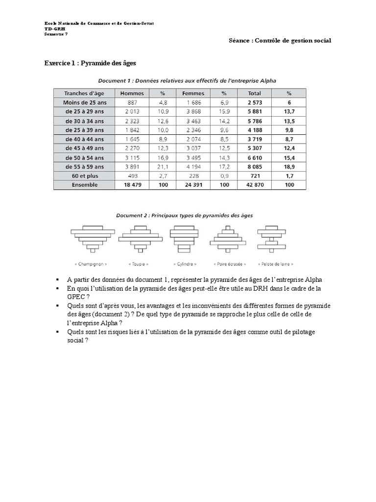 Analyse de la pyramide des âges en entreprise | PDF