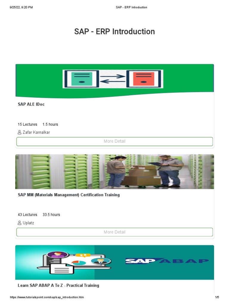 SAP - ERP Introduction | PDF | Enterprise Resource Planning | Information Management