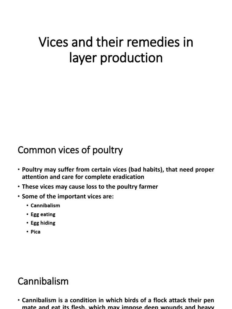Common Vices in Poultry Management | PDF | Aviculture | Birds