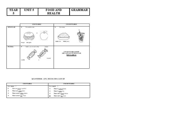 Unit 5 - Countable and Uncountable Nouns 1 - Notes | PDF