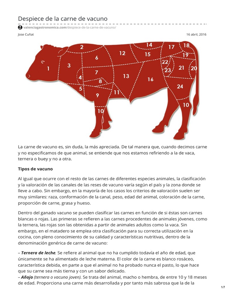 Ternera PARTES | PDF