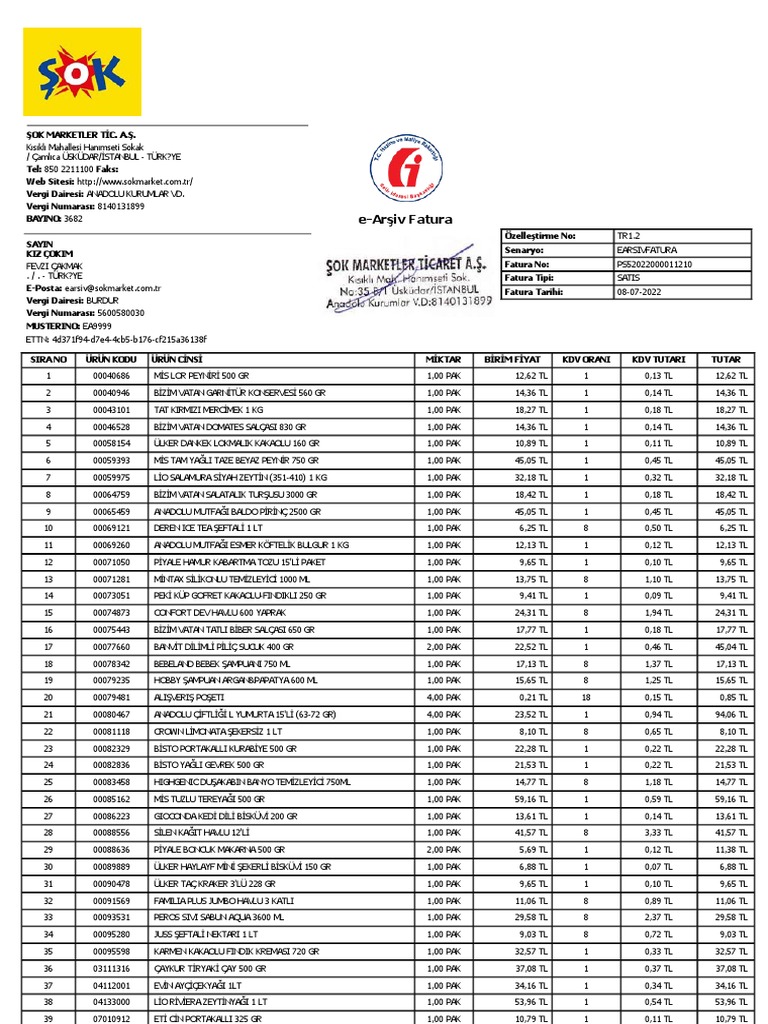 E Arşiv Fatura | PDF