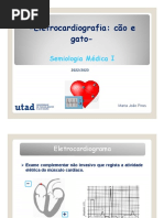 Modelo Laudo Ecg PDF | PDF