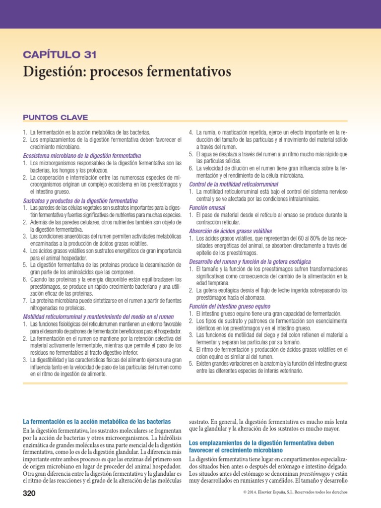 Lectura 1. Procesos Fermentativos-1-6 | PDF | Digestión | Trifosfato de adenosina