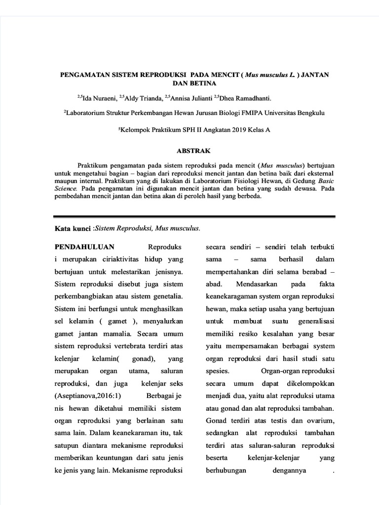 PDF Laporan Sel Reproduksi Mencit Jantan Dan Betina Compress | PDF