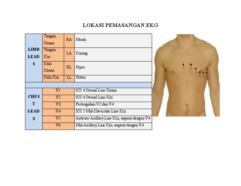 Prosedur Pemasangan Ekg | PDF