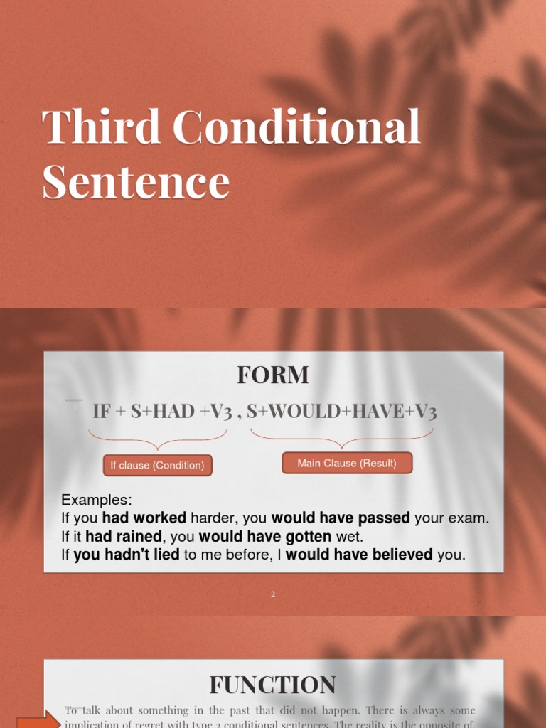 Third Conditional Sentence | PDF | Syntax | Semantic Units