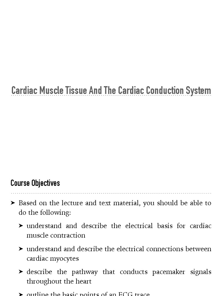 Electrical Activity of The Heart | PDF | Cardiac Muscle ...