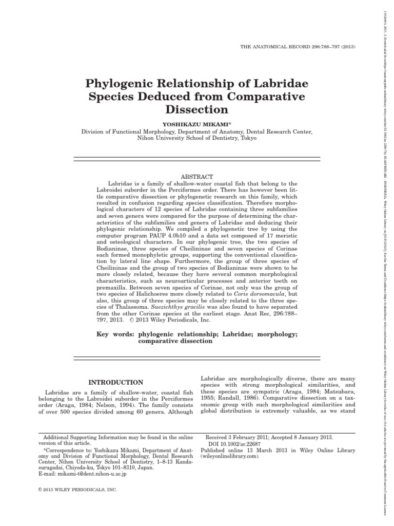 Phylogenetic Study of Labridae Fish | PDF | Species | Phylogenetics