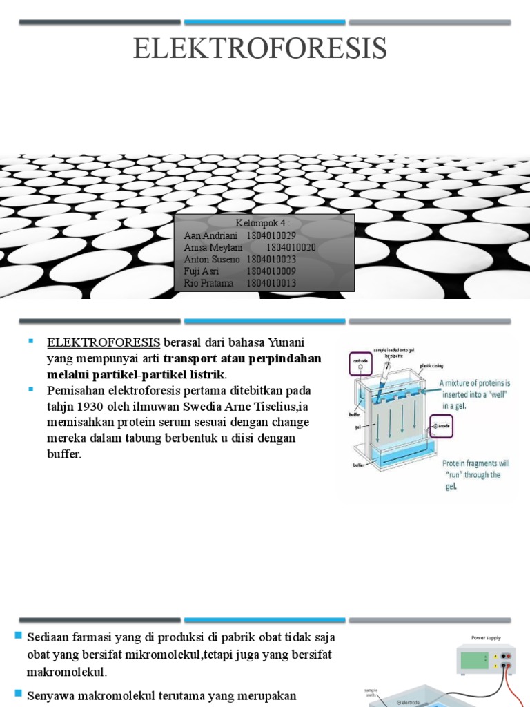 Elektroforesis (Kelompok 4 4A) | PDF