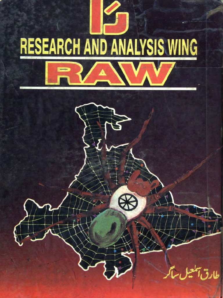 Raw | PDF