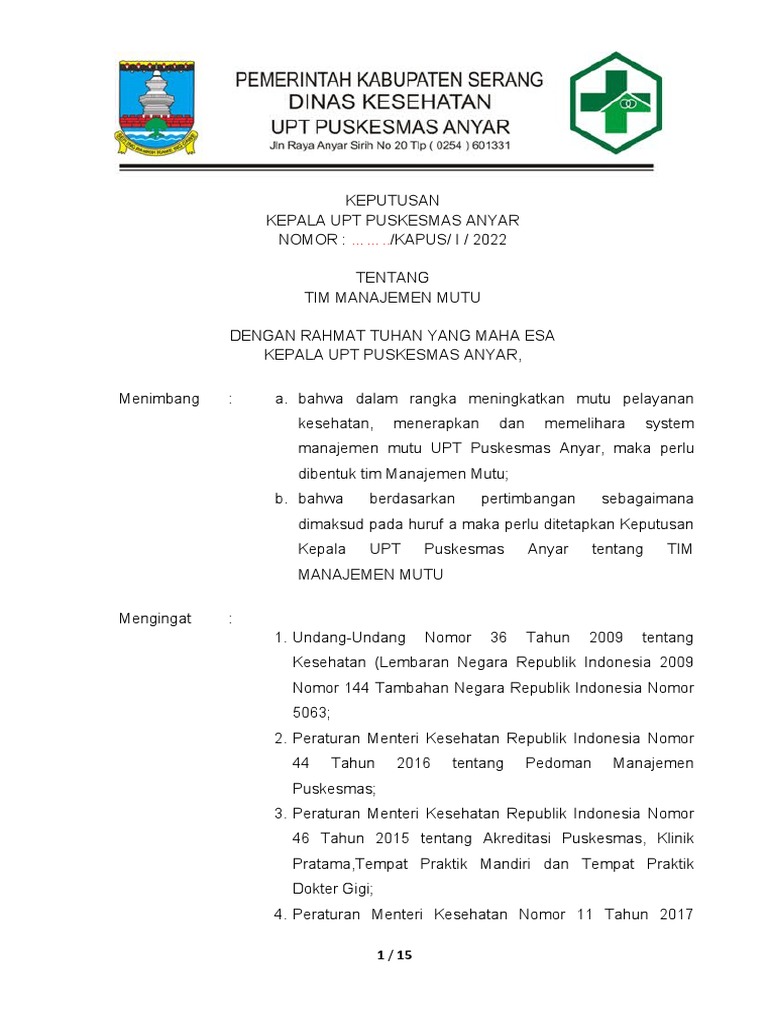 SK Tim Manajemen Mutu | PDF | Kesehatan Holistik