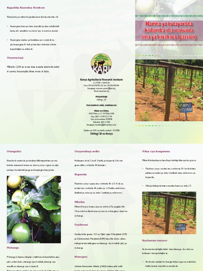 2011 - Feb - Namna Ya Kutayarisha Kishamba Cha Matunda | PDF