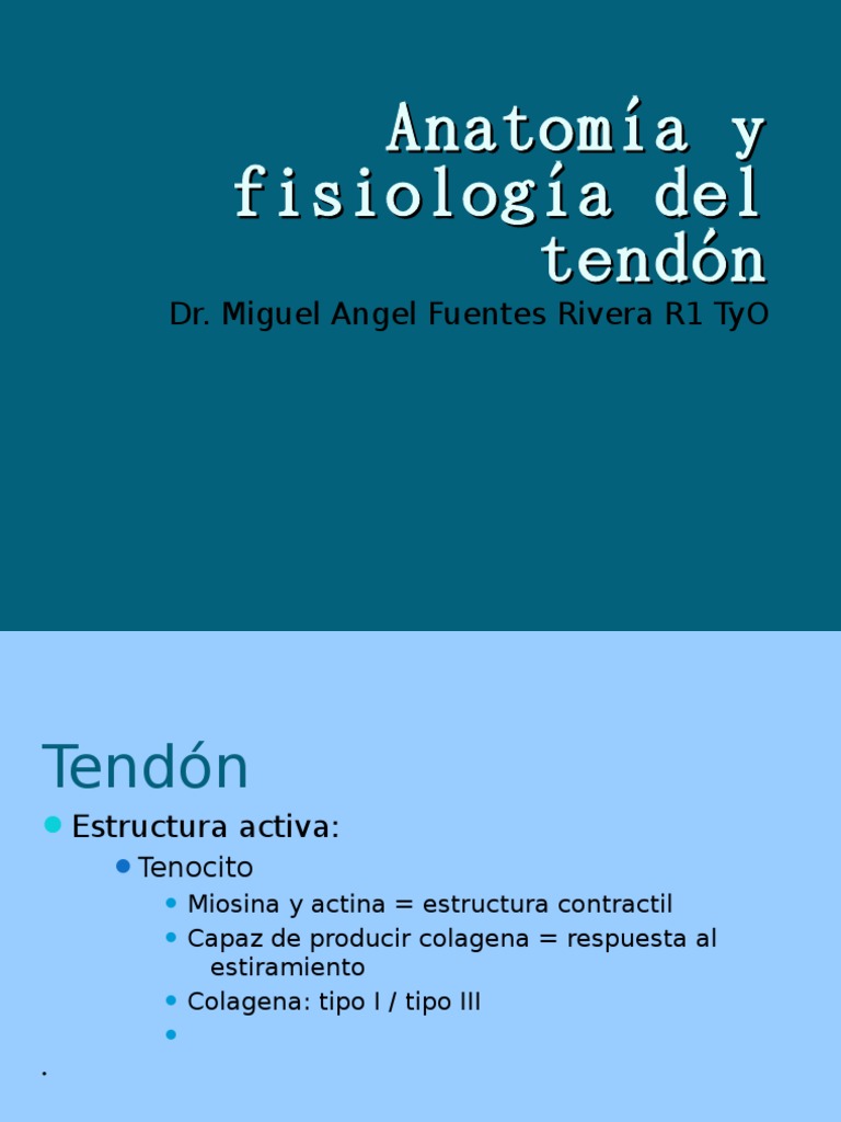 Anatomía y fisiología del tendón | PDF