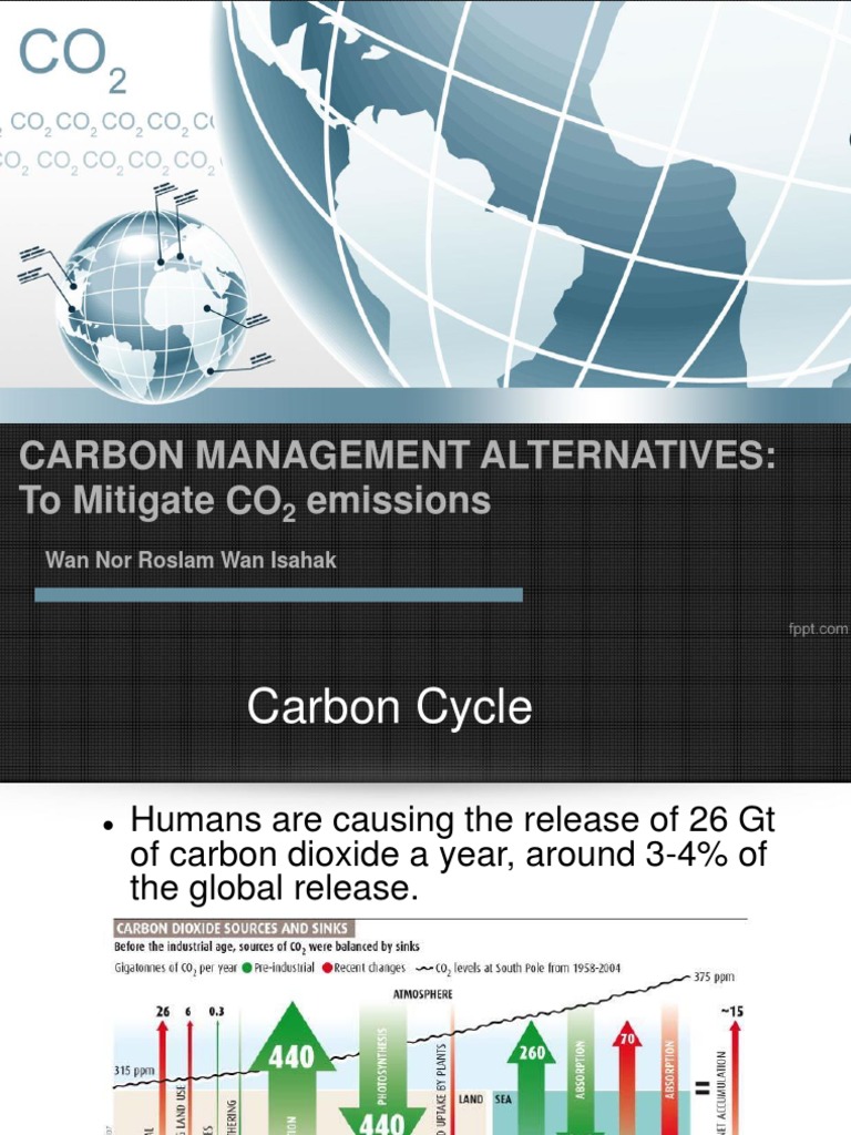 Carbon Management Strategies for CO2 Reduction | PDF | Greenhouse Gas ...