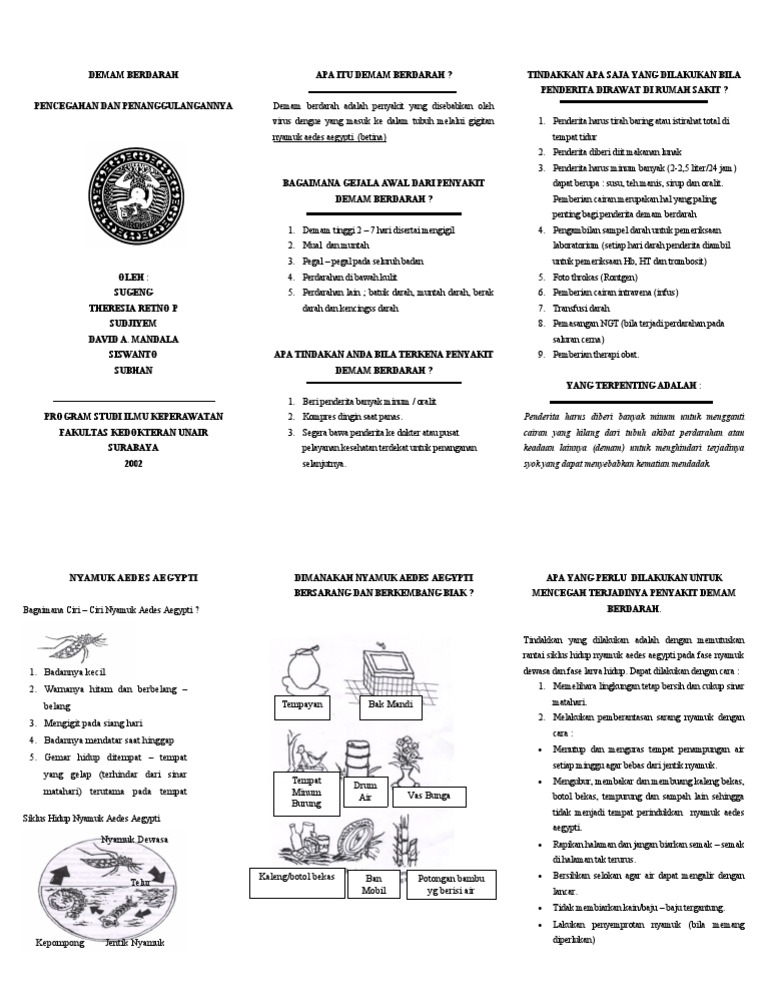 Leaflet DHF (Lampiran) | PDF