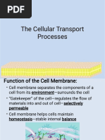 Osmosis Notes | PDF