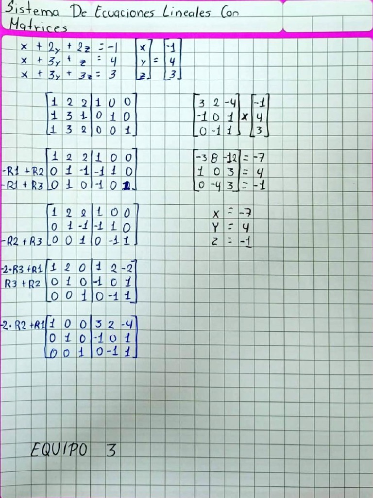Sistema De Ecuaciones Lineales Con Matrices Pdf 9345