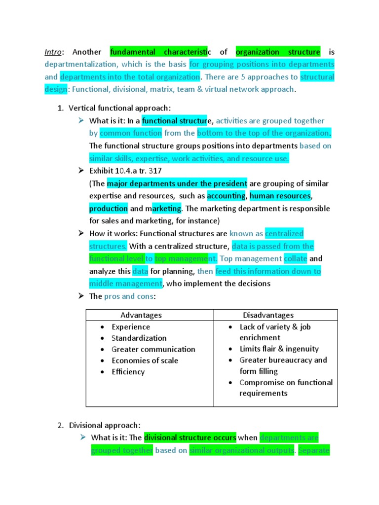 Functional, Divisional & Matrix Approach | PDF | Marketing | Business
