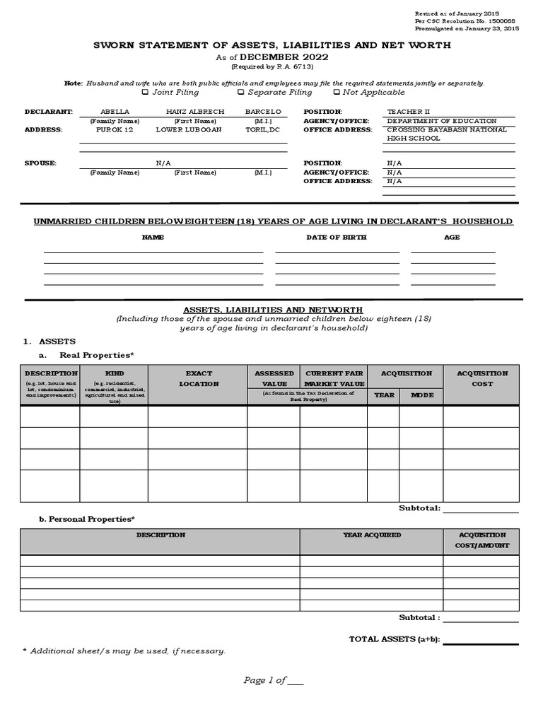 Saln Template | PDF | Net Worth | Economies