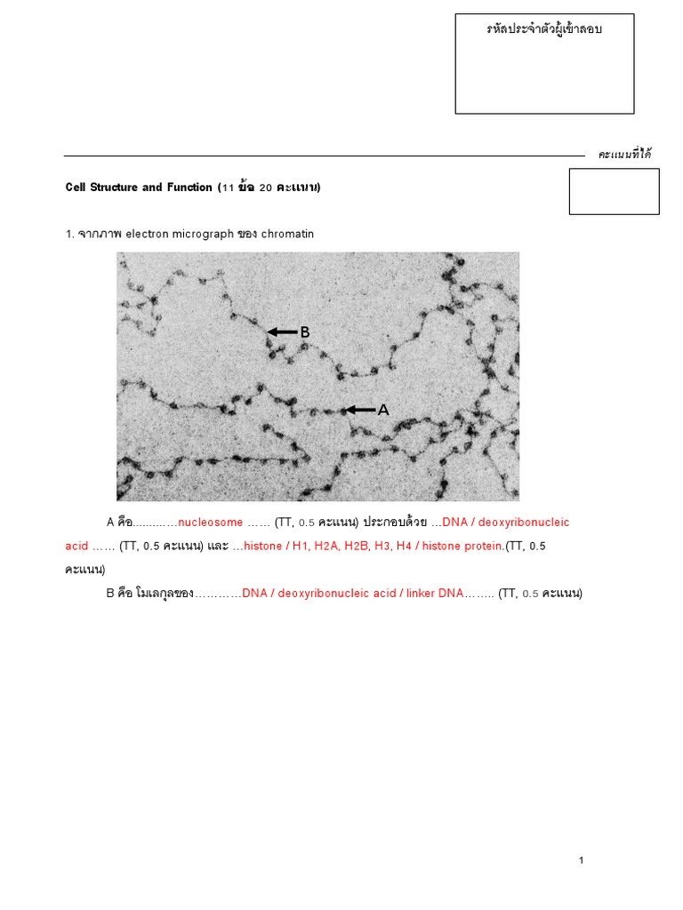 Bio Exam 54 | PDF