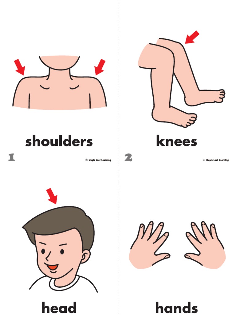 Shake Shake Song Flashcards | PDF