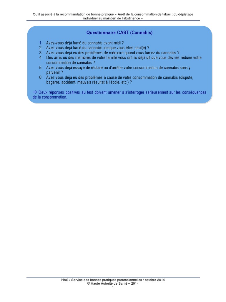 Outil Questionnaire Cast | PDF