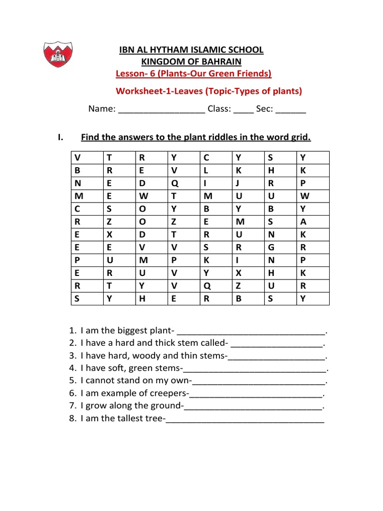 Plants Ouir Green Friends Worksheet LEAVES | PDF | Leaf | Plants