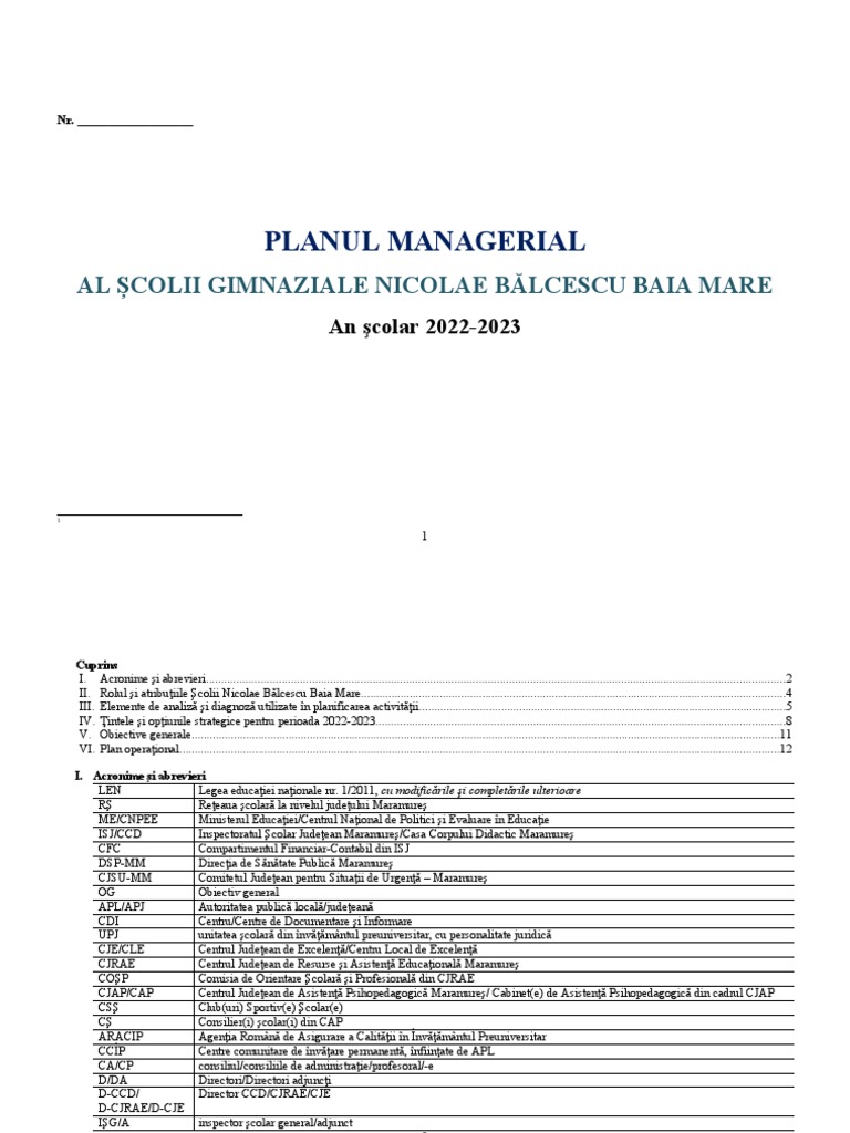 Plan Managerial | PDF