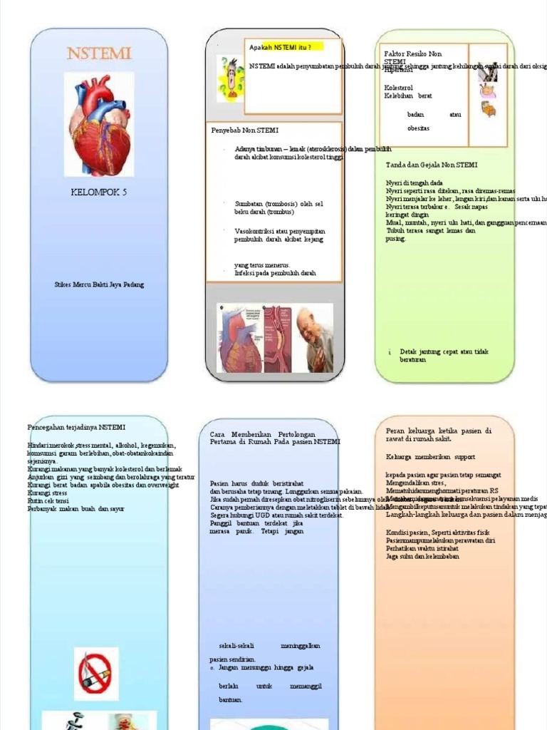 PDF Leaflet Nstemi | PDF