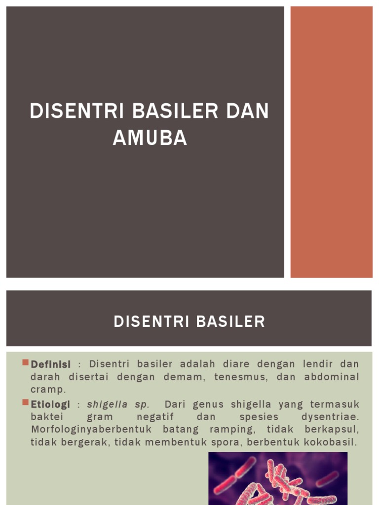 Disentri Basiler Dan Amuba | PDF