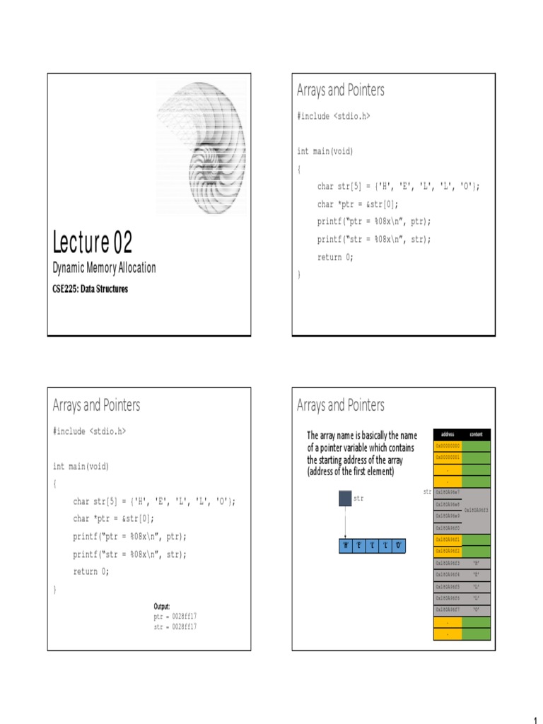 CSE225 Lecture 02 Dynamic Memroy Allocation | PDF