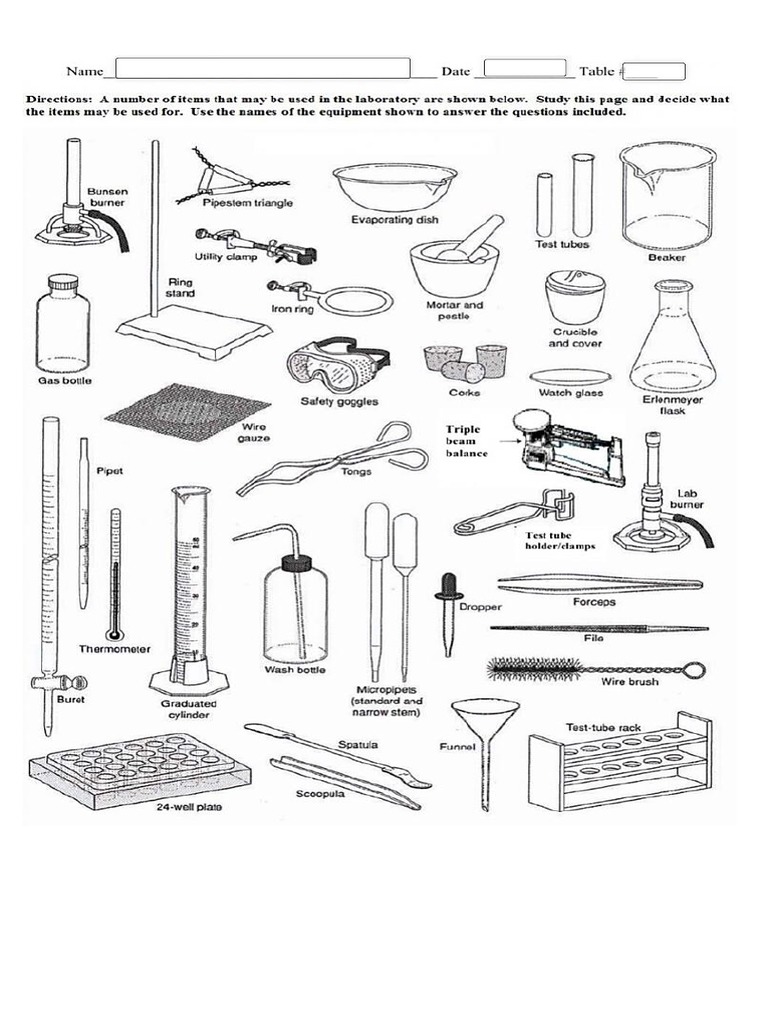 Worksheet Science Lab Tools and Equipment | PDF